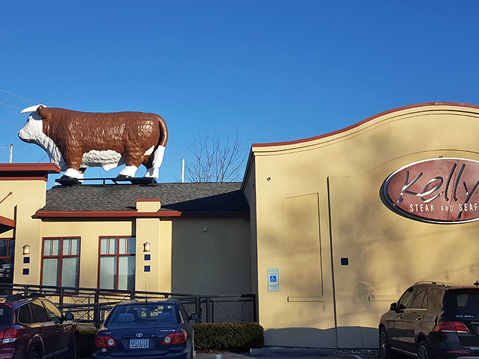 The iconic bovine sentinel of Kelly's Steak & Seafood stands guard atop the roof, announcing to hungry travelers: serious beef business happens here.