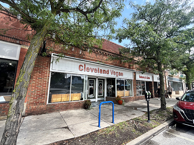 Nestled among Lakewood's brick buildings, Cleveland Vegan's unassuming exterior hides a culinary revolution happening just beyond those doors.