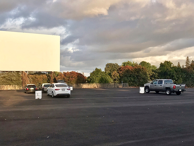 Nature provides the perfect backdrop as sunset approaches, with towering trees framing the massive white screen waiting for dusk's cinematic transformation.