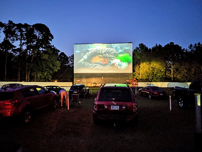 Movie magic comes alive as dusk settles over Hwy 21 Drive-In. Nothing beats watching films under South Carolina stars with fellow cinephiles.