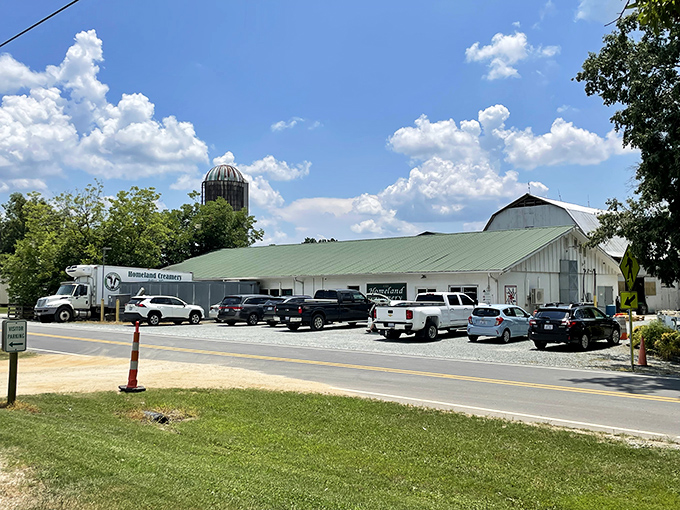 The simple white building with its green roof might look modest, but inside awaits a dairy wonderland overflowing with creamy, nostalgic delights.