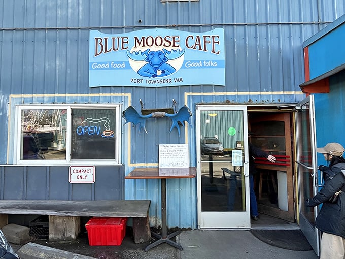 The blue corrugated exterior says "no pretension here," while the whimsical moose silhouette promises the kind of place where breakfast dreams come true.
