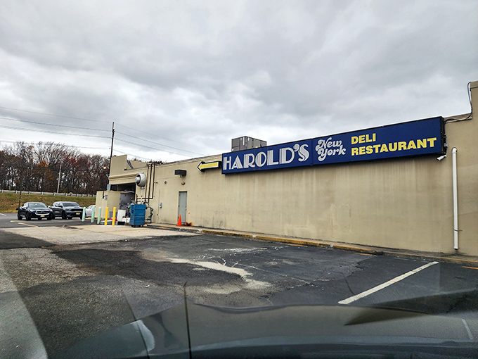 Harold's iconic blue signage stands as a beacon of hope for the hungry traveler seeking authentic deli salvation.