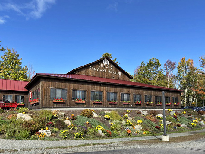 Fall foliage provides the perfect backdrop for this rustic pancake paradise, where maple dreams come true against autumn's fiery canvas.