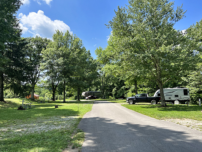 The campground road winds through towering trees, offering spacious sites where RVs and tents nestle under nature's canopy. Perfect social distancing since before it was trendy!