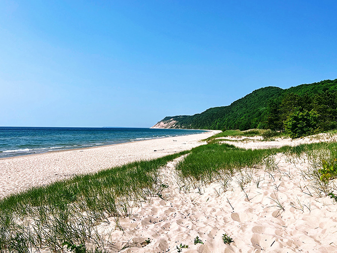 The perfect Michigan postcard come to life &ndash; pristine sand meets the endless blue of Lake Michigan, with forested dunes standing guard.