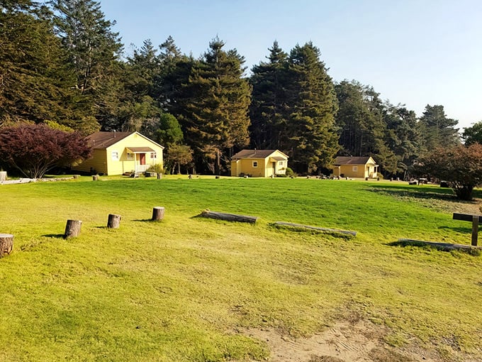 The quintessential California farm stay experience &ndash; where golden meadows meet forest shadows and city stress dissolves into coastal air.