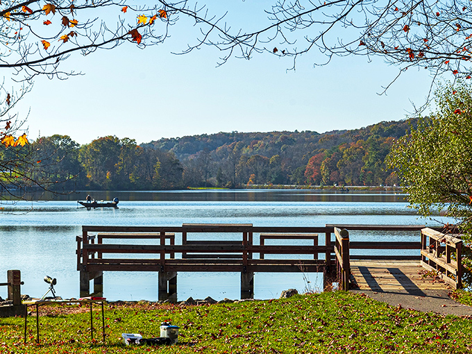 Sometimes paradise comes with a fishing pier and autumn colors that make your camera weep with joy.