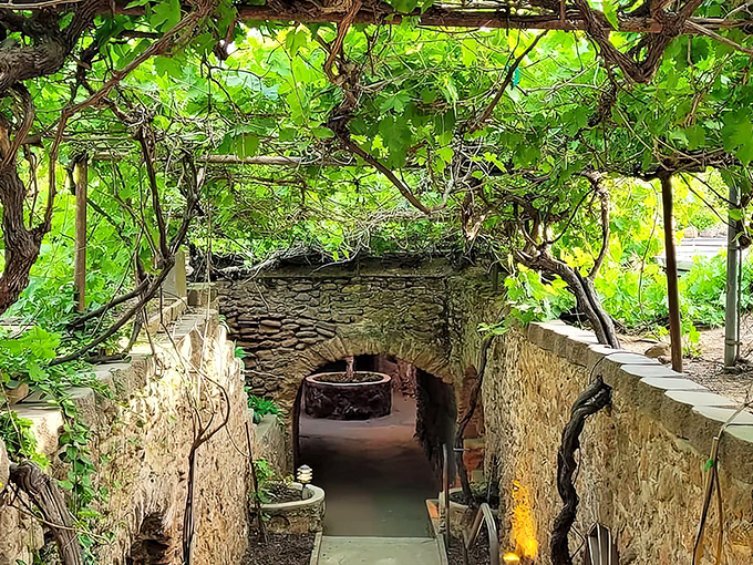 Grapevines creating a natural canopy over hand-carved stone pathways&mdash;like an Italian dream that went delightfully underground.