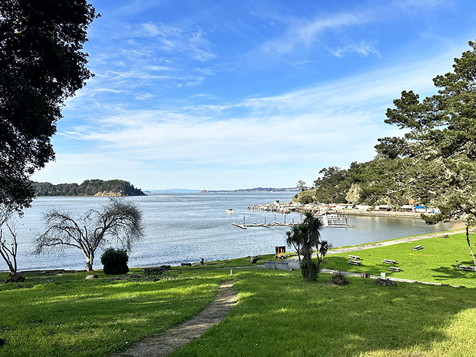 Ayala Cove welcomes visitors with a postcard-perfect blend of azure waters, emerald lawns, and that "I can't believe this is so close to the city" serenity.