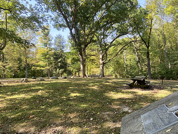 A peaceful picnic area nestled among towering trees. Nature's dining room comes complete with dappled sunlight and a soundtrack of rustling leaves.