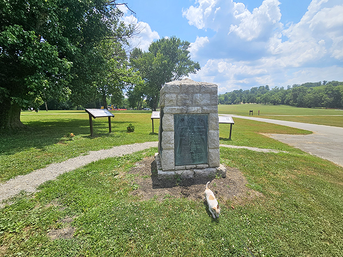 History stands proudly in stone while modern life scurries by&mdash;like this little cat photobombing Kentucky's past with feline indifference.