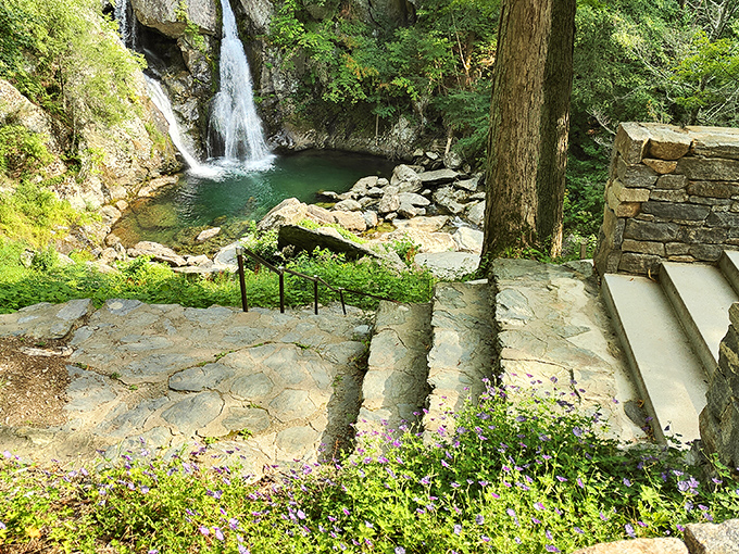 Nature's perfect postcard: stone pathways leading to Massachusetts' highest single-drop waterfall, where emerald waters invite contemplation but not swimming.