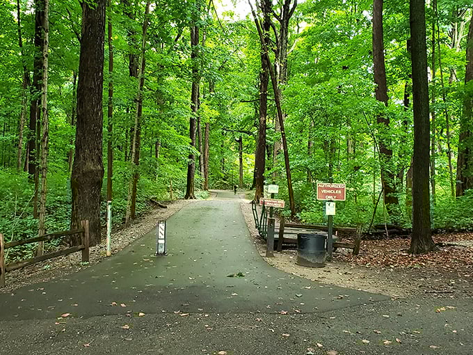 Welcome to nature's stress-relief clinic! Maybury's paved pathways invite you into a green cathedral where the only notifications are birdsong and rustling leaves.