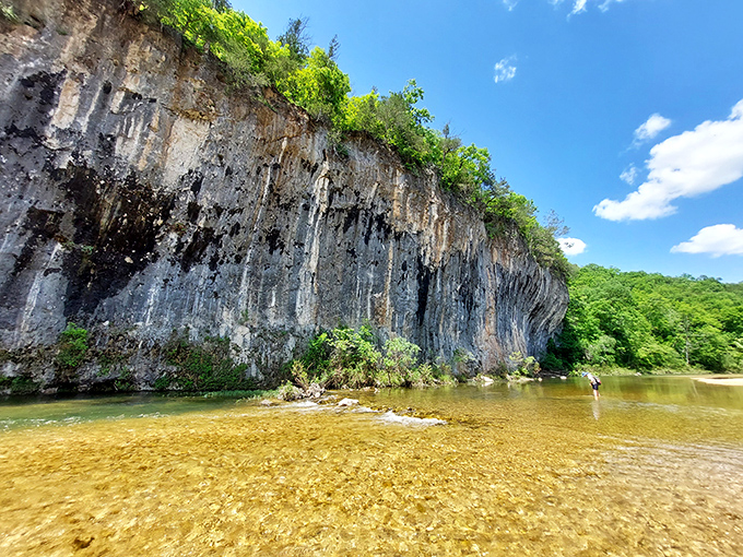 Mother Nature's skyscraper stands tall at Echo Bluff, where limestone walls have been perfecting their imposing presence for millions of years.