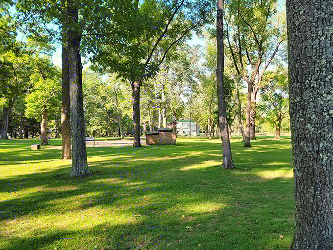 Sunlight dapples through ancient trees onto emerald lawns, creating nature's own stained-glass effect. Mother Nature showing off her interior design skills.