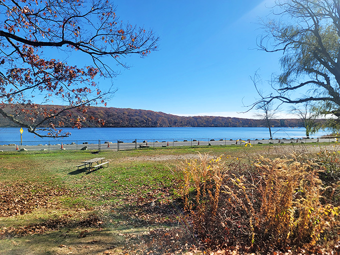Mother Nature's masterpiece on full display—autumn trees painting the shoreline in fiery hues that dance across the lake's mirror-like surface.