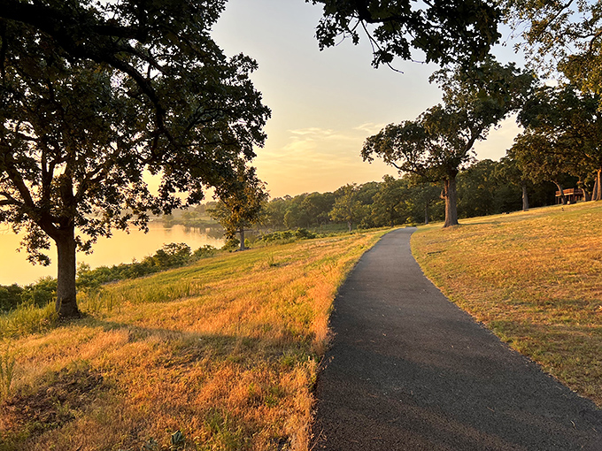 Golden hour at Sequoyah hits different when the walking path glows like butter and the lake becomes liquid amber.