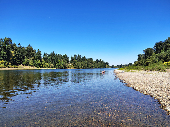 The Willamette River glides peacefully through the park, offering a front-row seat to Oregon's natural splendor. Perfect for kayaking or simply soul-soothing contemplation.