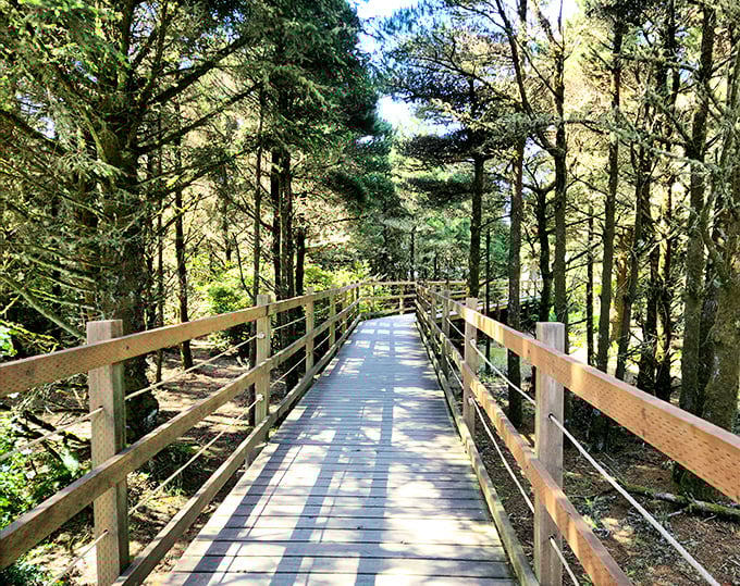 The wooden pathway through Fort Stevens' forest feels like stepping into a Pacific Northwest fairy tale &ndash; minus the talking animals, unfortunately.