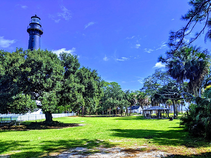 The iconic black and white lighthouse stands sentinel among lush greenery, a perfect postcard moment waiting to happen. 