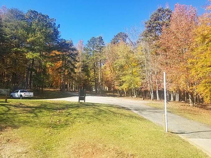Fall's grand performance at Croft State Park&mdash;nature's own Broadway show where every leaf gets a standing ovation and the parking is considerably easier.