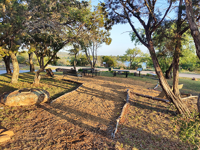 Nature's version of a backyard barbecue setup, complete with shady trees and lake views that beat any country club.