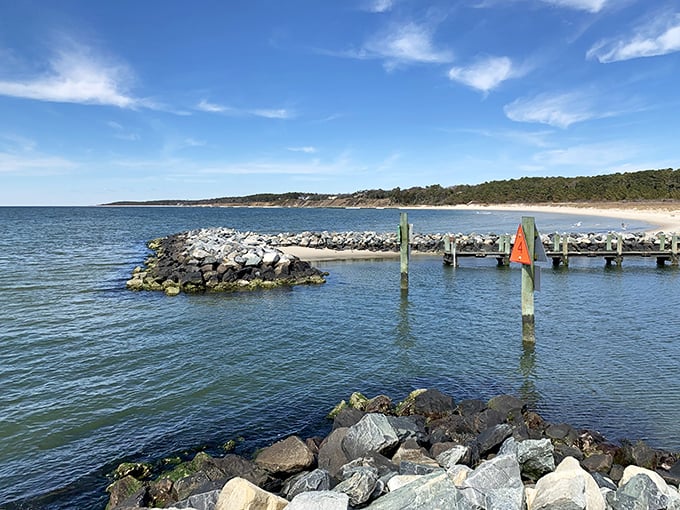 Gentle waves and rocky jetties frame the serene shoreline of this Virginia state park, where calm waters meet endless blue skies.