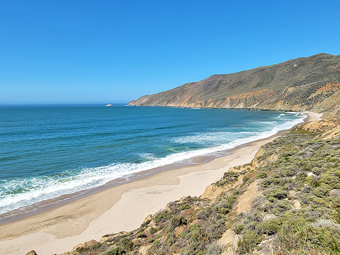 Paradise found! Point Sal's sweeping coastline offers the kind of solitude that makes you wonder if you've stumbled onto your own private California. Those waves aren't just saying hello—they're applauding your excellent taste.