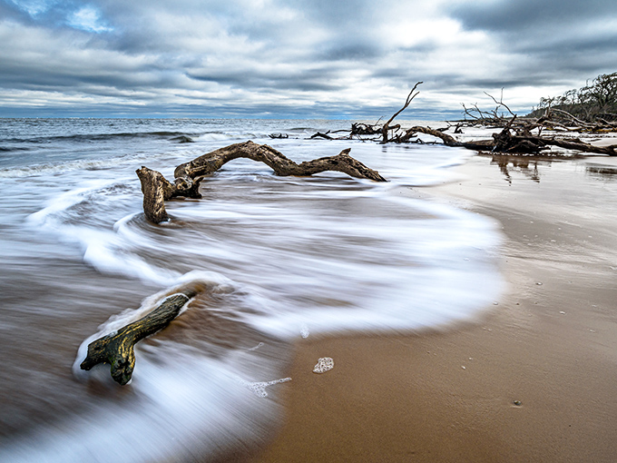 Nature's skeletal art show unfolds as waves caress weathered driftwood sculptures. Mother Nature's most haunting gallery is open daily with free admission.