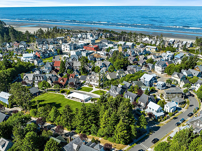 Aerial dreams come true! Seabrook's picture-perfect layout showcases the brilliant marriage of thoughtful design and nature's grandeur, with the Pacific Ocean serving as the ultimate backdrop.
