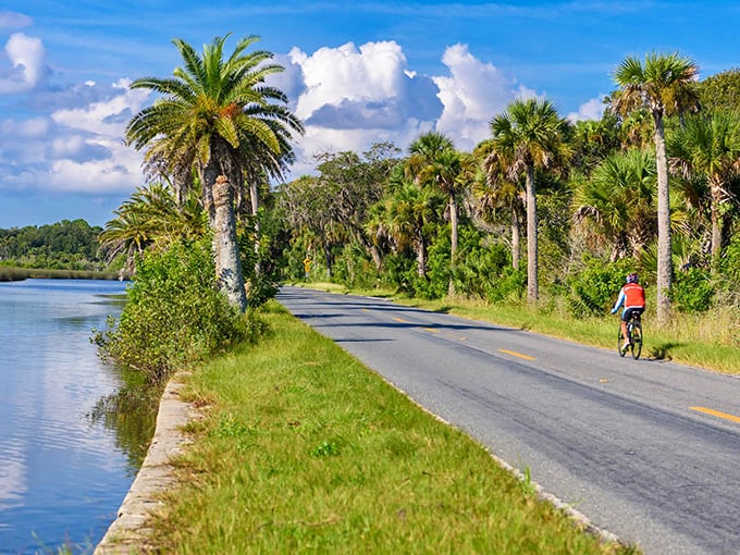 A cyclist enjoys the perfect Florida moment where palm trees stand sentinel between water and asphalt. Mother Nature's version of a luxury corridor.