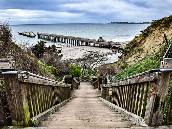 Nature's stairway to paradise. These wooden steps lead down to Seacliff's treasures, with the iconic cement ship standing guard in the distance.
