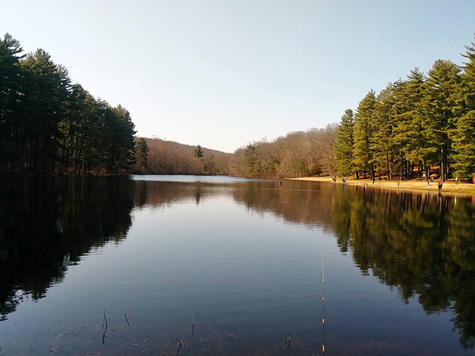 Mirror, mirror on the pond&mdash;Chatfield Hollow's glassy waters reflect towering pines like nature's own Instagram filter. Connecticut serenity at its finest.