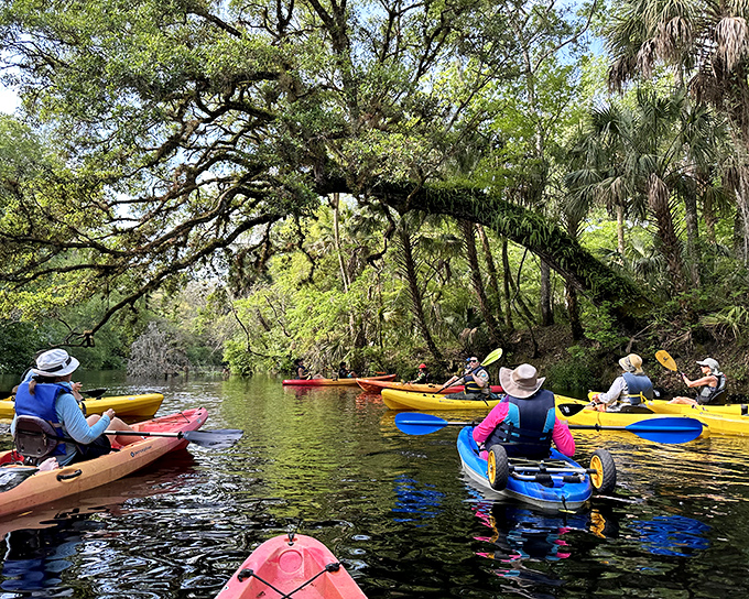 Kayakers glide beneath a natural archway of oak and cypress, proving Florida has adventures that don't require a FastPass or sunburn.