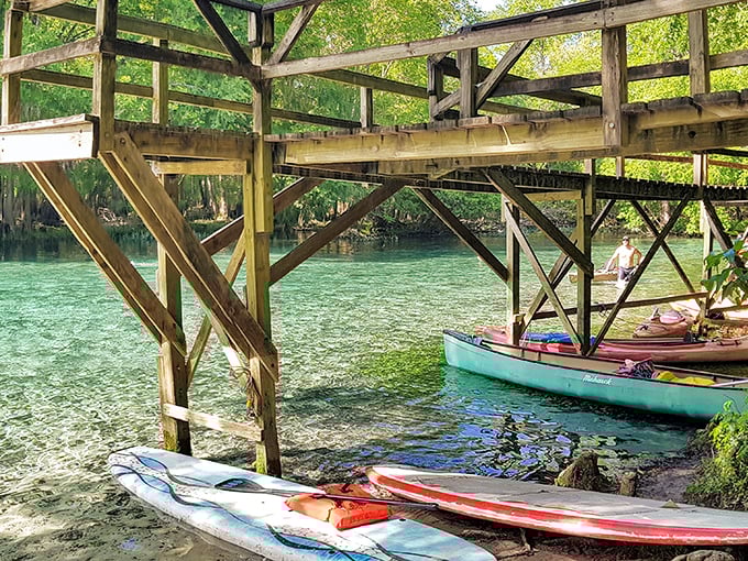 The ultimate paddleboard parking garage! Nature's own marina where kayaks rest between adventures, surrounded by water so clear it looks Photoshopped.