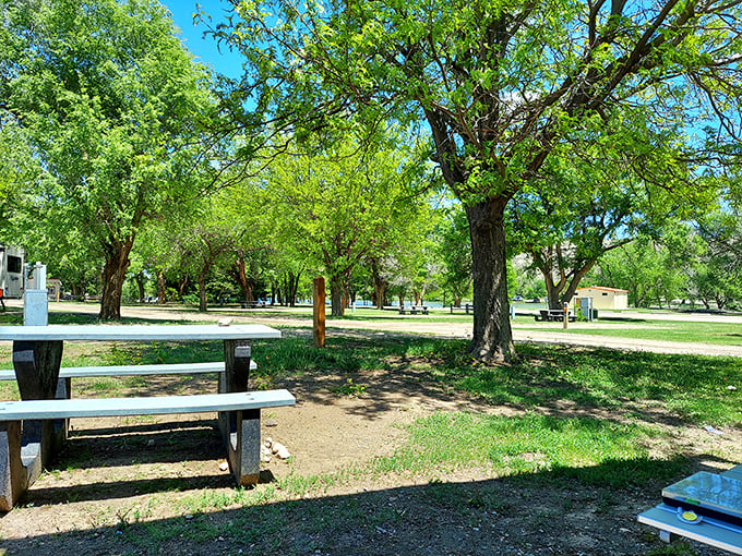 Shaded picnic areas invite you to linger longer than planned. Nature's dining room comes with better ambiance than any 5-star restaurant.