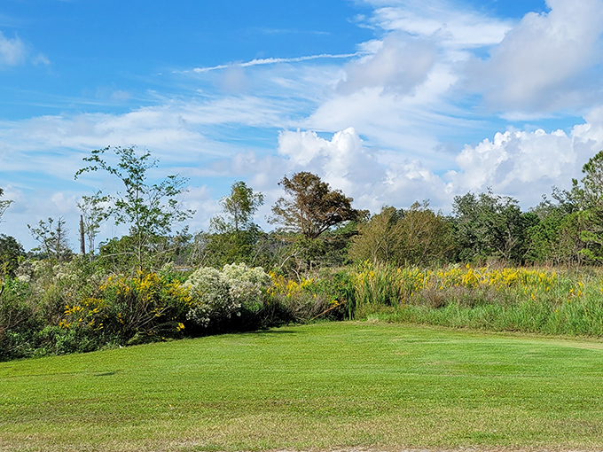 Mother Nature showing off her best work&mdash;wildflowers dancing in the coastal breeze under Mississippi's impossibly blue skies.