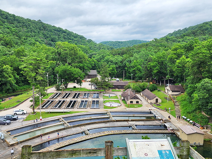 Aerial view of the famous fish hatchery at Roaring River State Park, where rainbow trout are raised from tiny fingerlings to "please catch me" size.