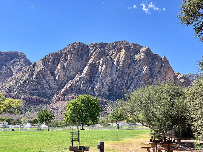 The entrance road to paradise comes with white picket fences and mountain backdrops that make your phone's wallpaper jealous. 