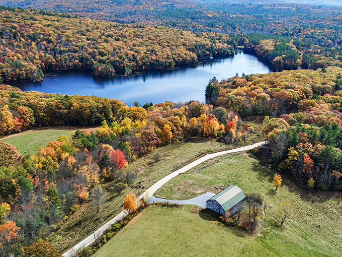 New England's autumn palette explodes across this aerial view, with a serene lake reflecting the sky like nature's own Instagram filter.