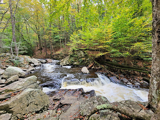 Nature's symphony in full swing: The Black River cascades over ancient rocks while spring foliage creates a perfect backdrop for contemplative moments.