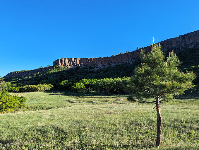 Nature's own cathedral ceiling! These dramatic volcanic cliffs rise above meadows like sentinels guarding a secret paradise most New Mexicans haven't discovered yet.