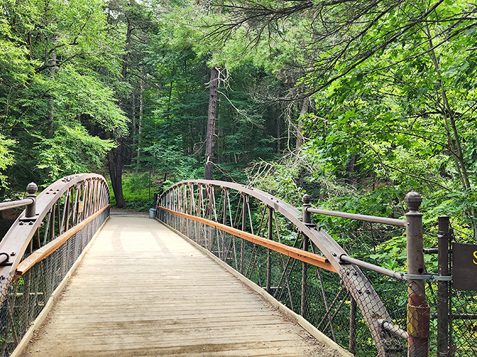 Stone bridges span the dramatic gorge at Watkins Glen, where nature's architecture puts human engineering to shame. A perfect spot for contemplative wandering.