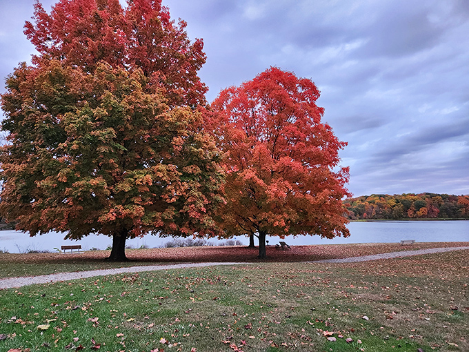 Mother Nature showing off her autumn palette at A.W. Marion State Park, where maple trees transform the shoreline into a fiery spectacle.