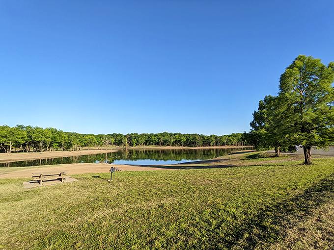 Golden hour at Sequoyah hits different when the walking path glows like butter and the lake becomes liquid amber.