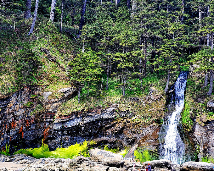Nature's perfect postcard moment: vibrant fall foliage frames the landscape like Mother Nature's own Instagram filter.