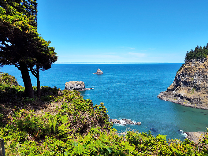 Welcome to your new favorite escape route, where the only traffic jam involves squirrels crossing.