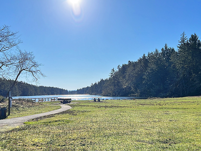 Picnic paradise found! This sun-drenched lakeside spot practically begs you to spread a blanket and unpack that sandwich you've been thinking about since breakfast.