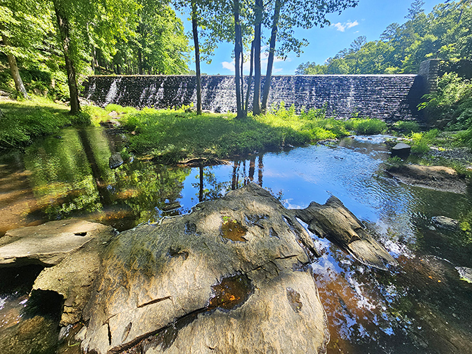 Nature's own masterpiece - the dam at Kings Mountain creates a serene reflecting pool that whispers, "Put down your phone and breathe already."